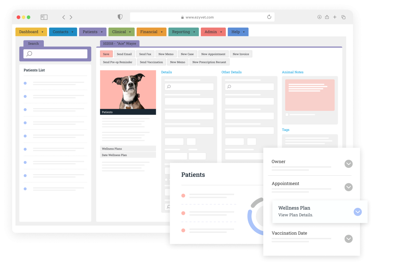 Cloud Based Veterinary Practice Software | IDEXX Veterinary Software